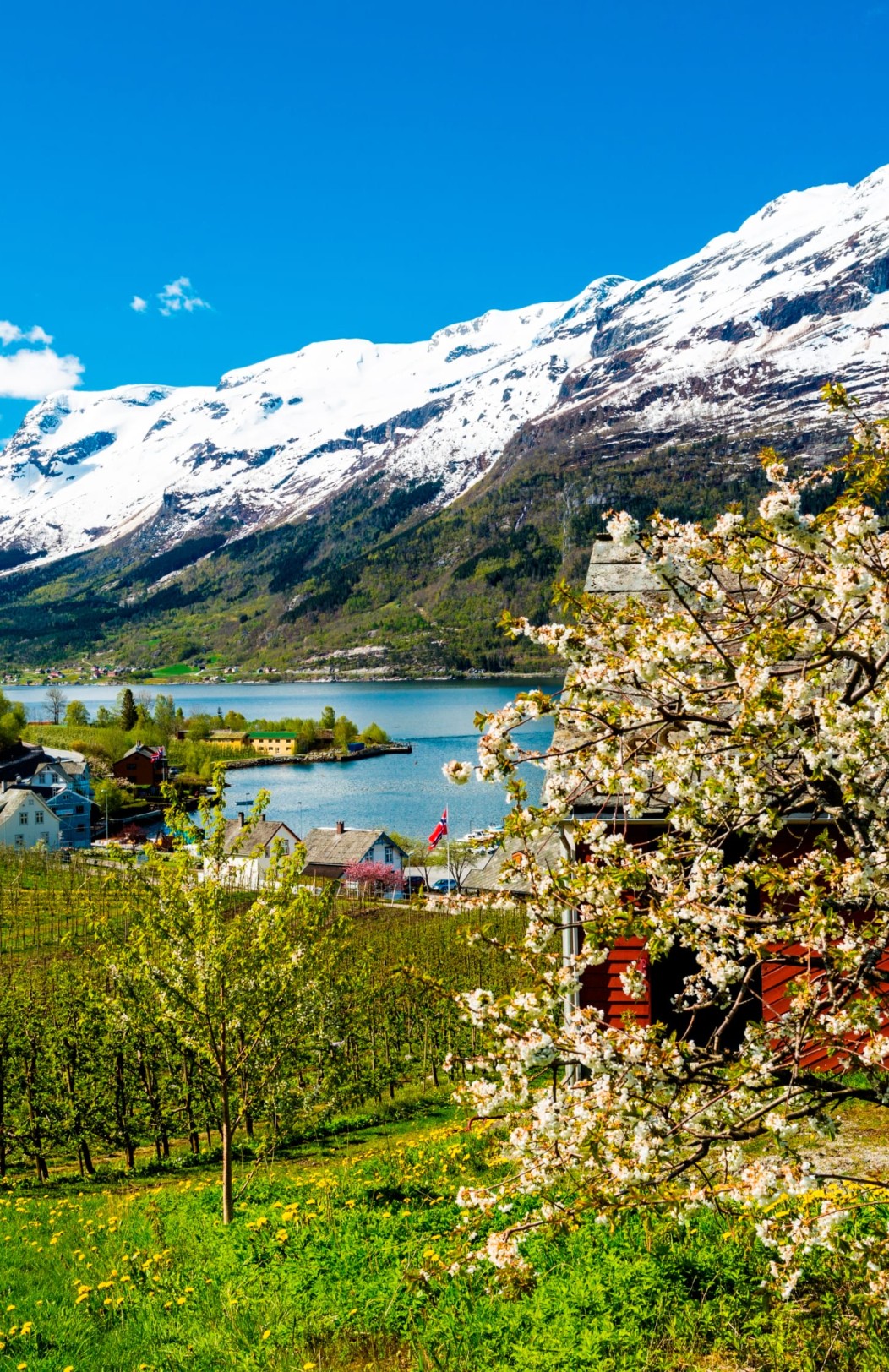 Copenhagen & The Fjords of Norway from Copenhagen / Authentic Scandinavia
